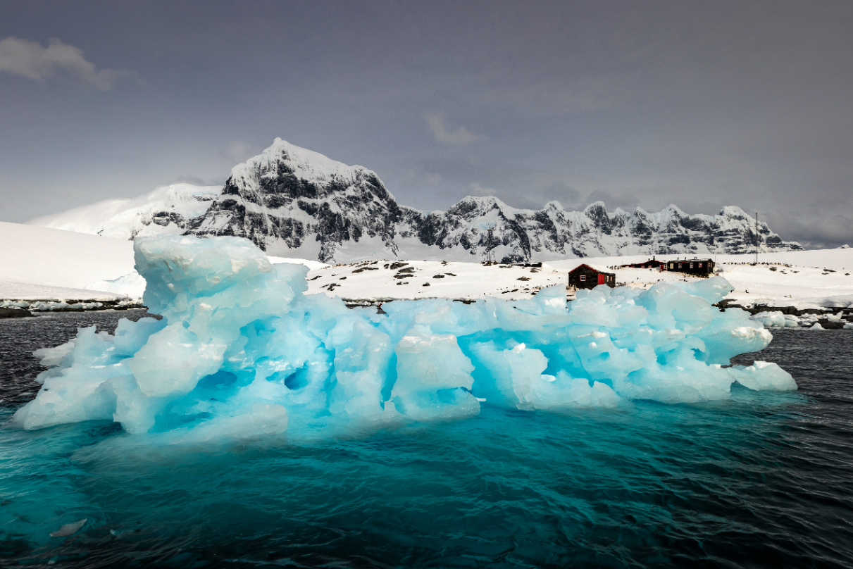 Best Antarctica Cruises & Tours - Search 1000+ Expeditions