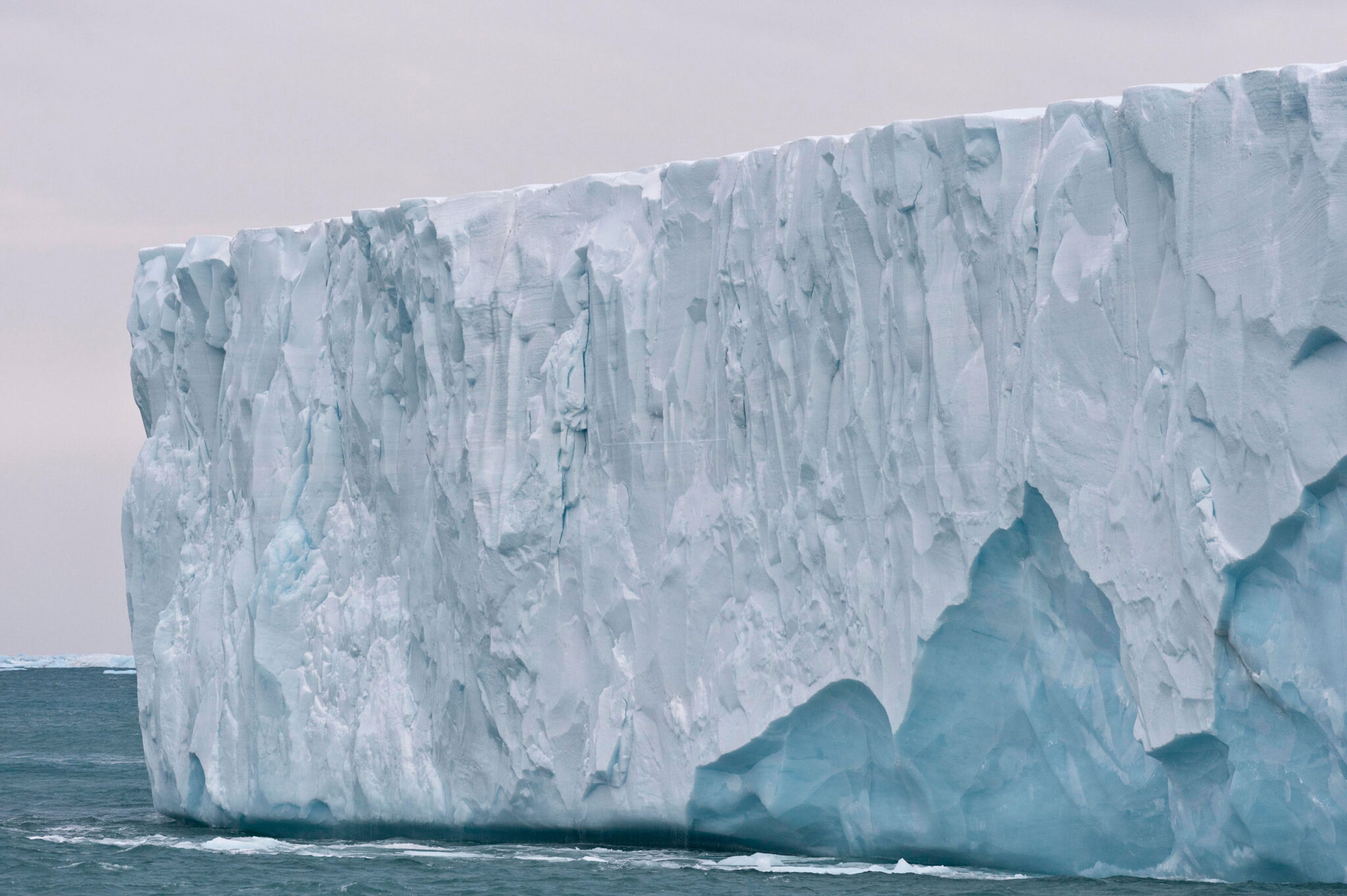 Svalbard Cruises 2026/2027 – Dates, Ships (350 + Trips)