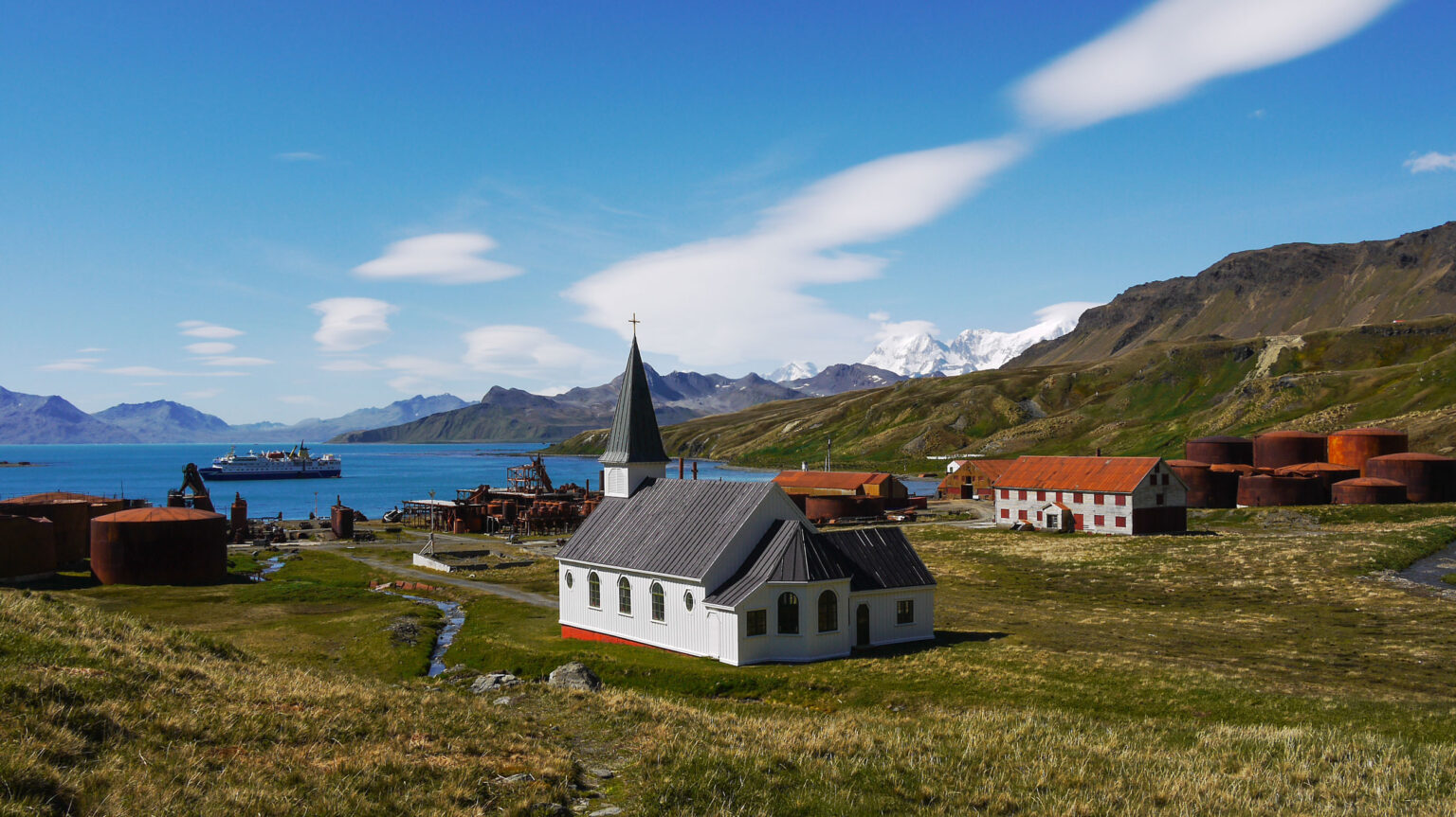 How to Visit South Georgia Island | Ultimate Travel Guide
