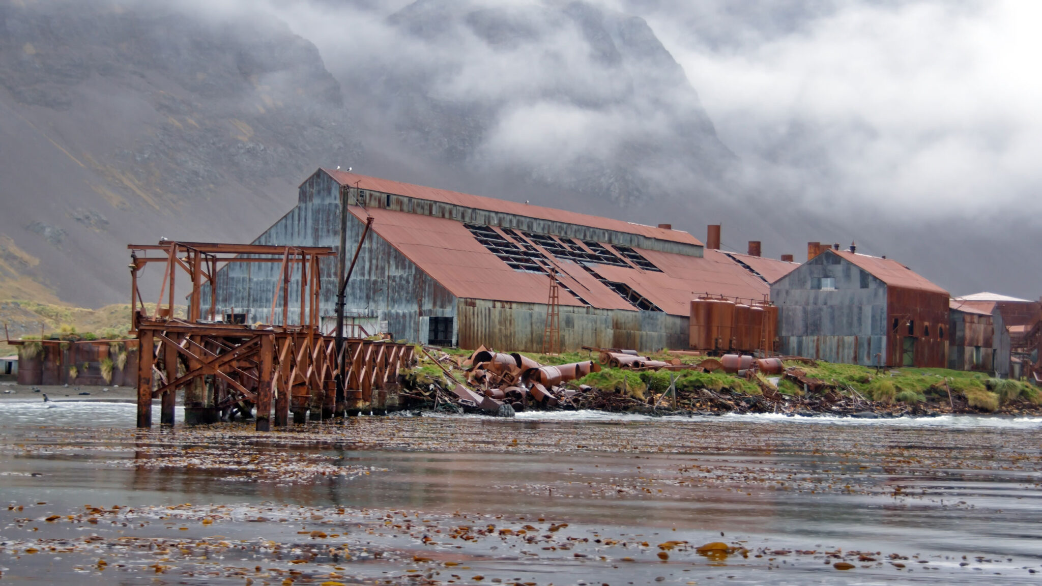 South Georgia's Whaling Stations and Their History