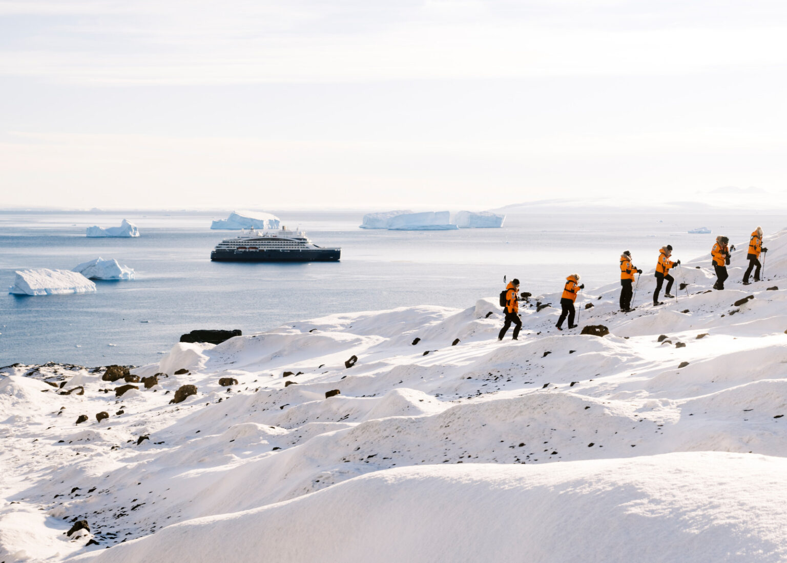 25 Best Expedition Cruise Lines For 2026