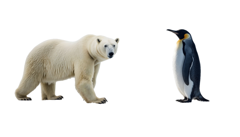 Arctic Vs Antarctica - Ultimate Comparison for Travellers