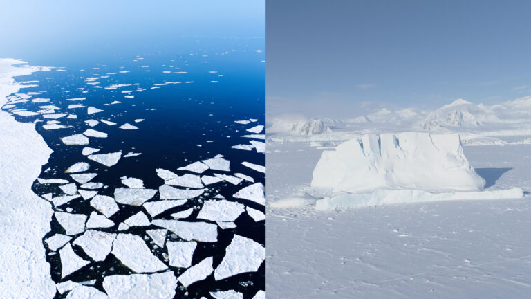 Arctic Vs Antarctica - Ultimate Comparison for Travellers