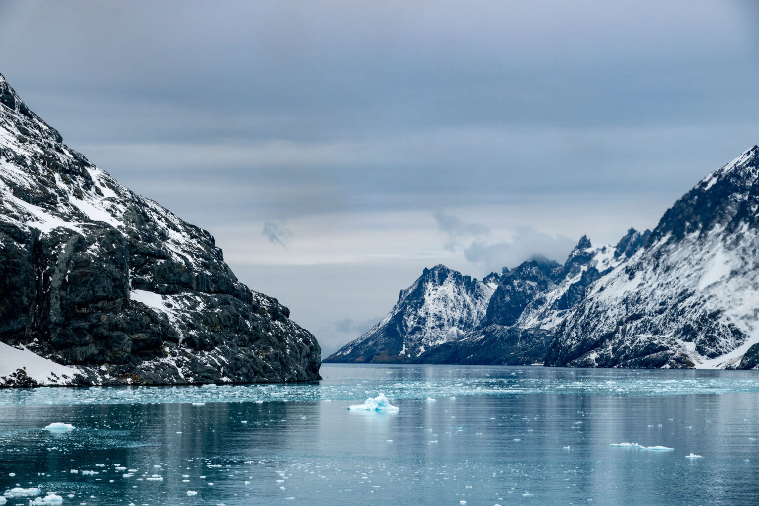 How to Visit South Georgia Island | Ultimate Travel Guide