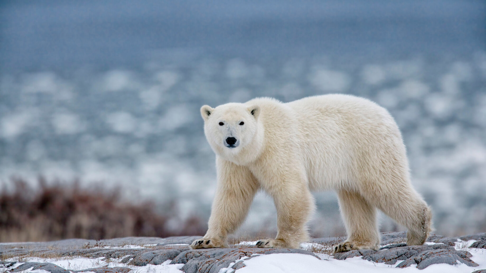 21 Most Remote Places On Earth You Can Visit