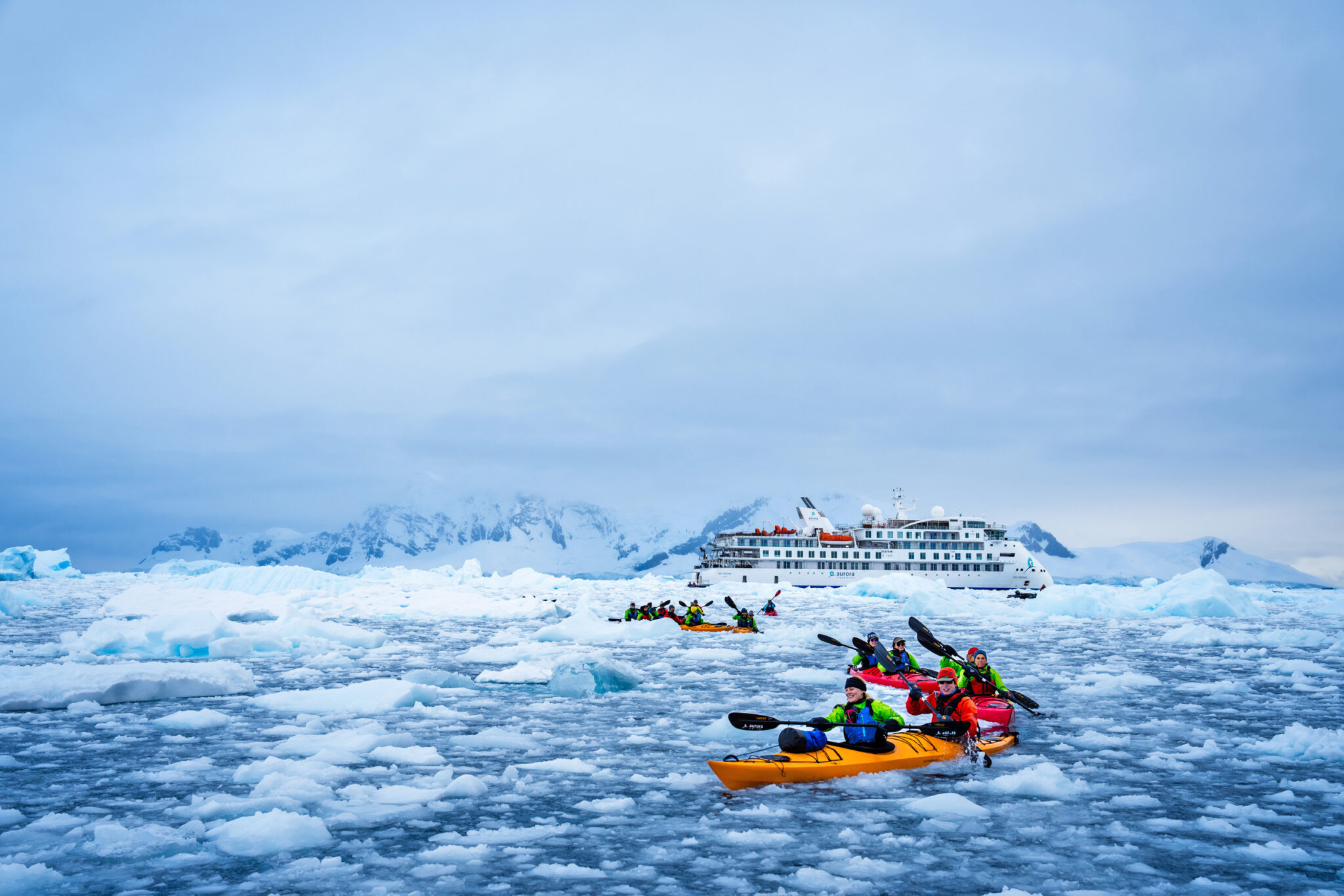Expedition Cruise Ships | How To Choose Your Ship