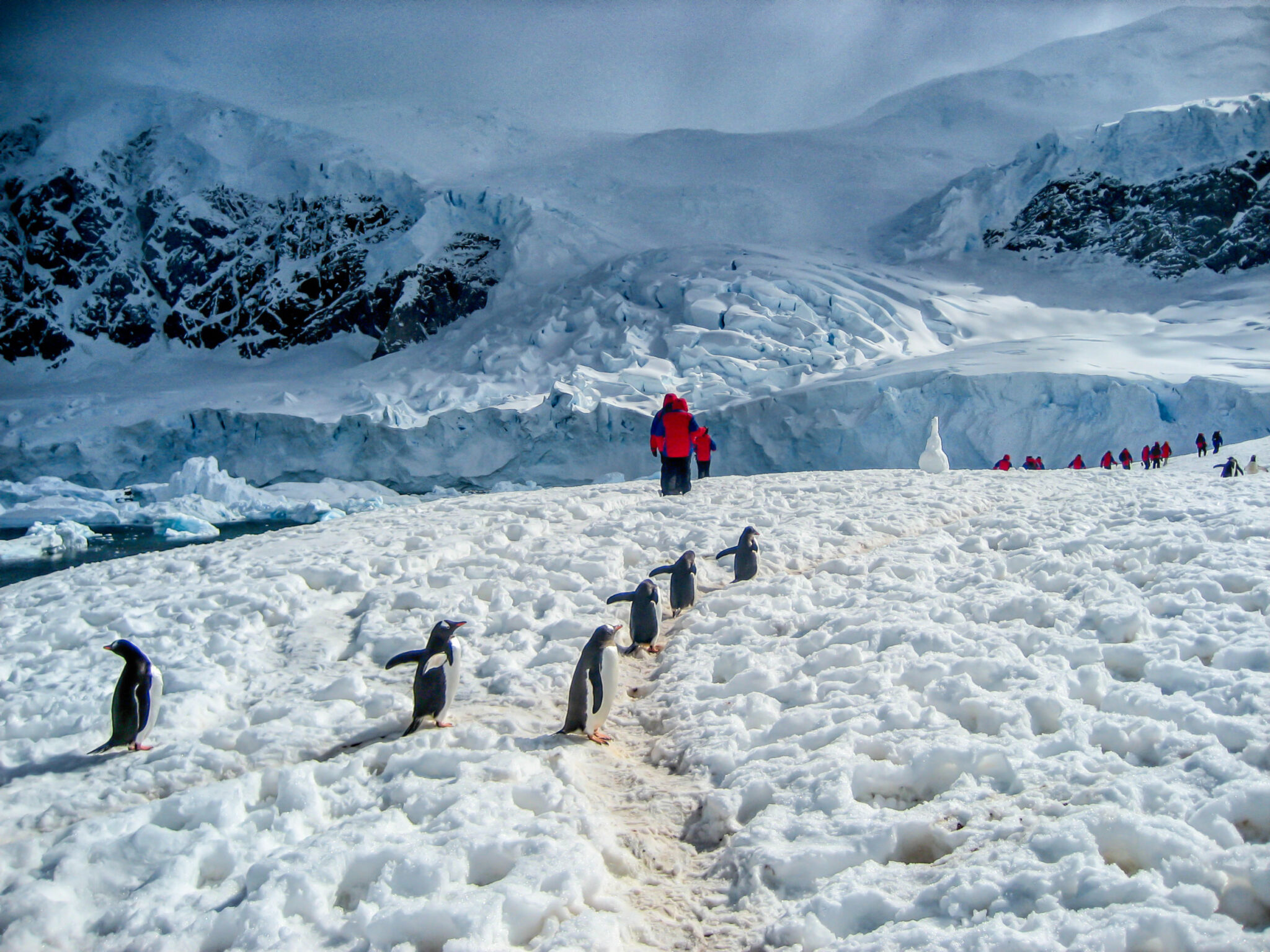 27 Best Things To Do In Antarctica