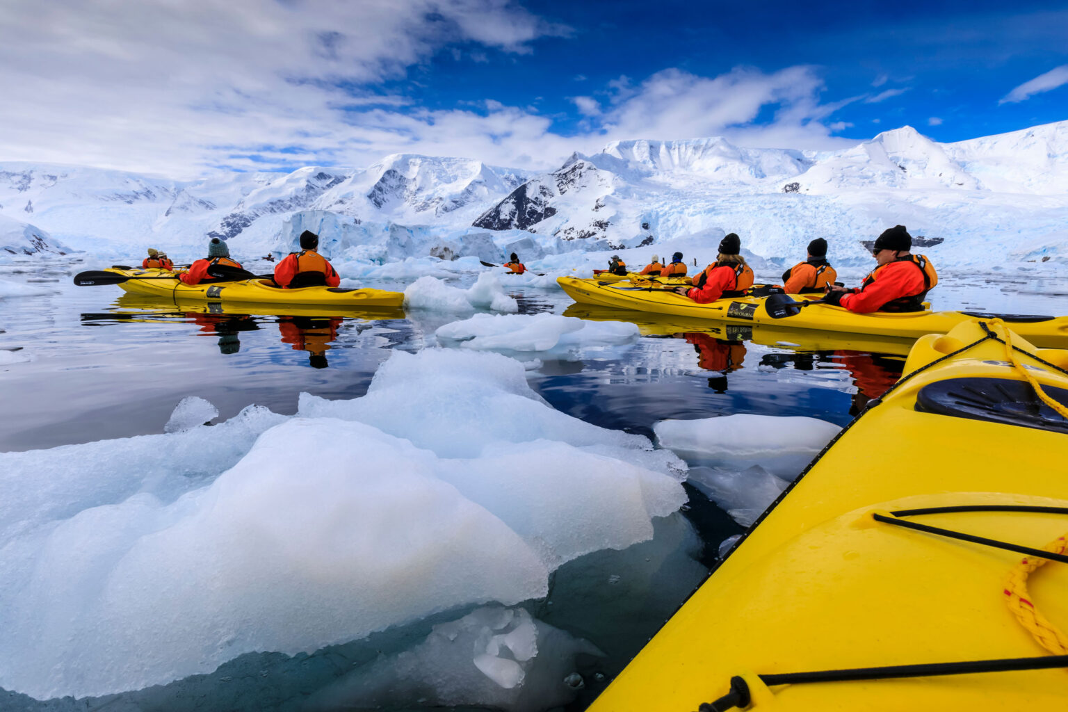 27 Best Things To Do In Antarctica