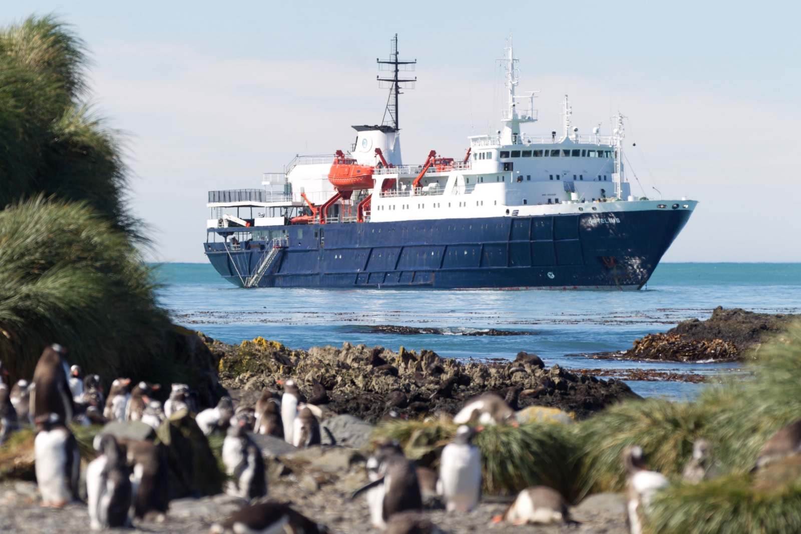 35 Best Expedition Cruise Ships For 2025