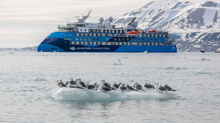 25 Best Expedition Cruise Lines For 2026