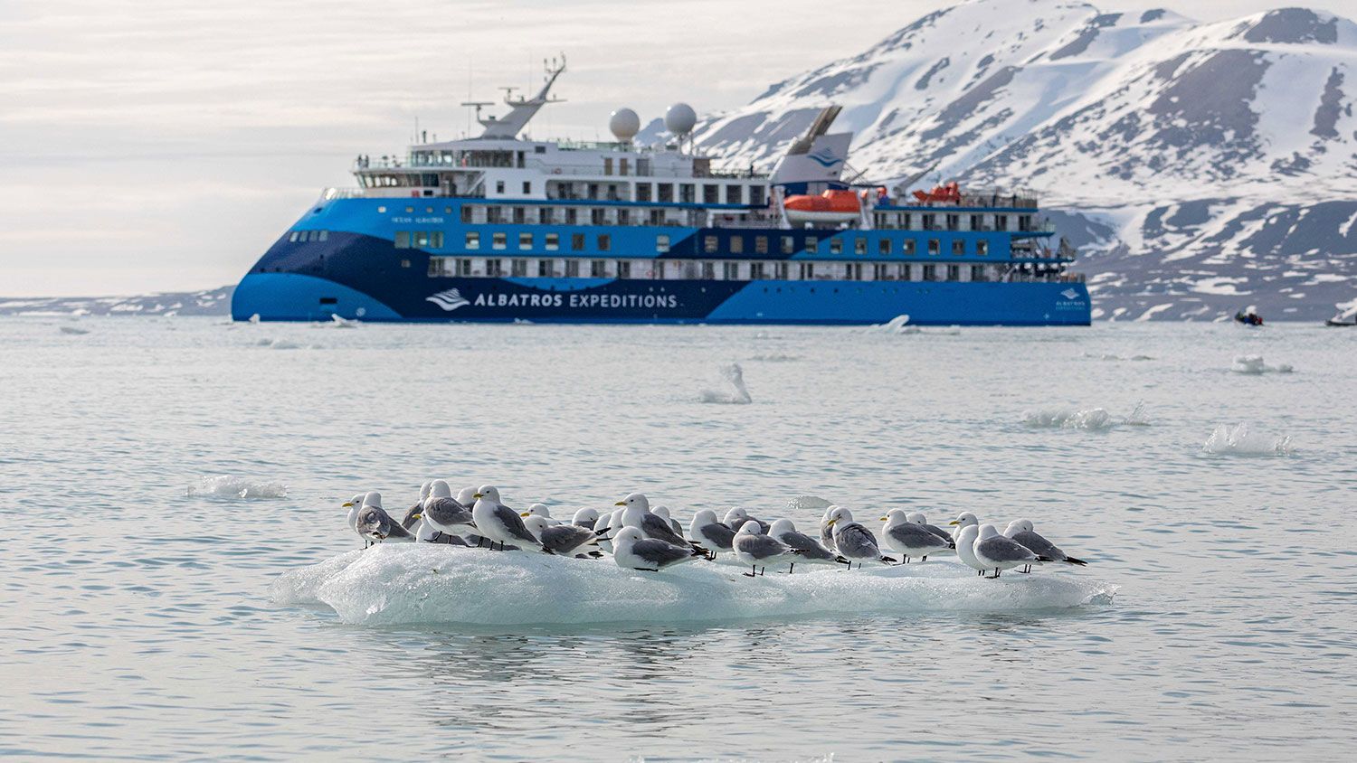 25 Best Expedition Cruise Lines For 2026