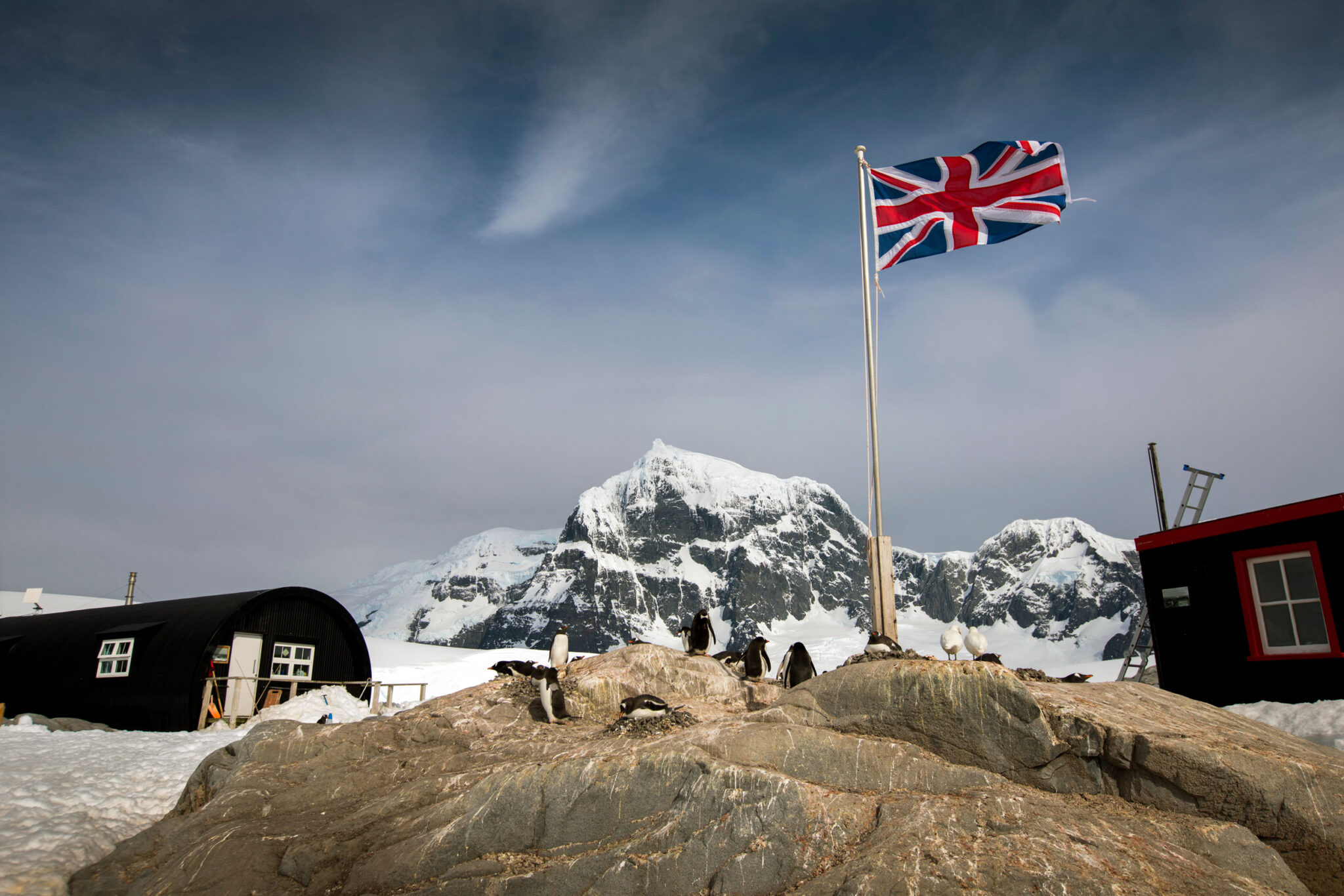 27 Best Things To Do In Antarctica