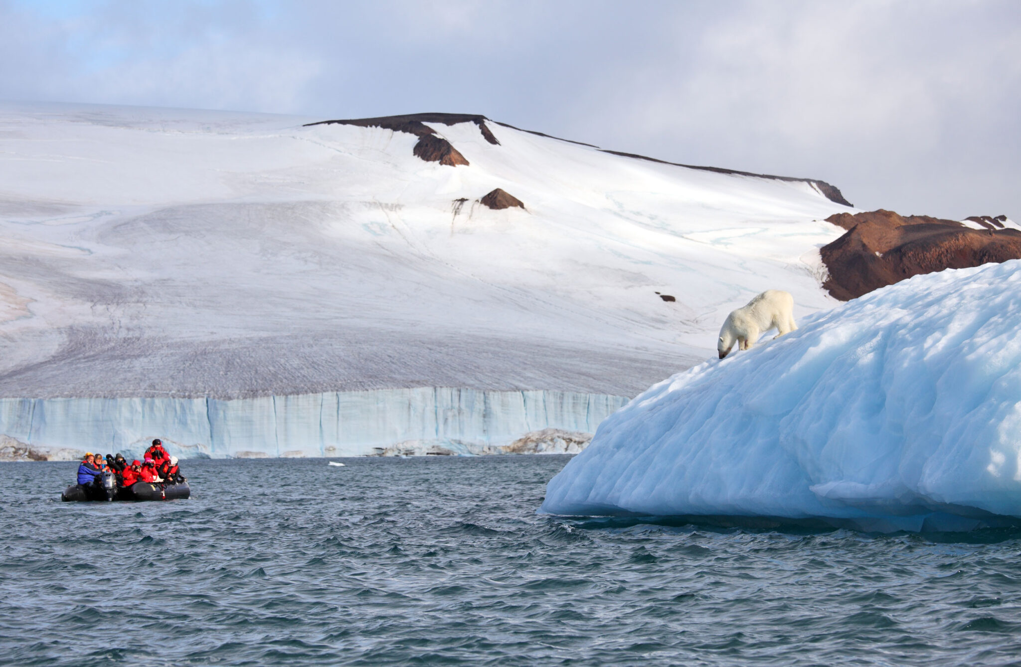 Zodiac Cruises | A Detailed Guide for Travellers
