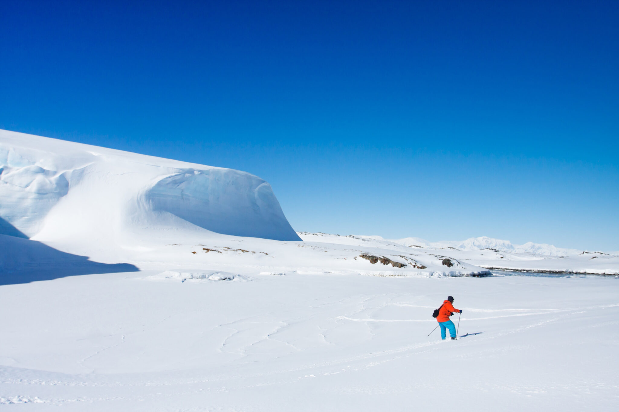 27 Best Things To Do In Antarctica