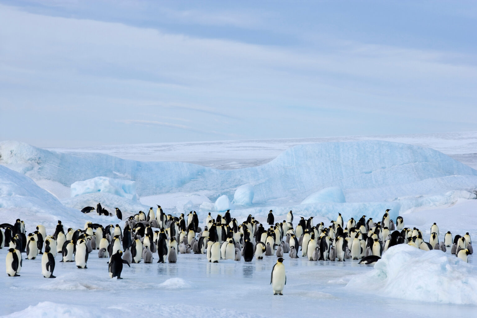 33 Best Polar Region Places You Can Visit
