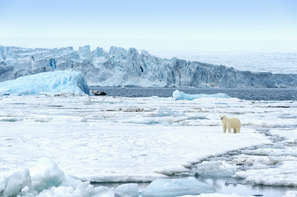 Svalbard Cruises 2026/2027 – Dates, Ships (350 + Trips)