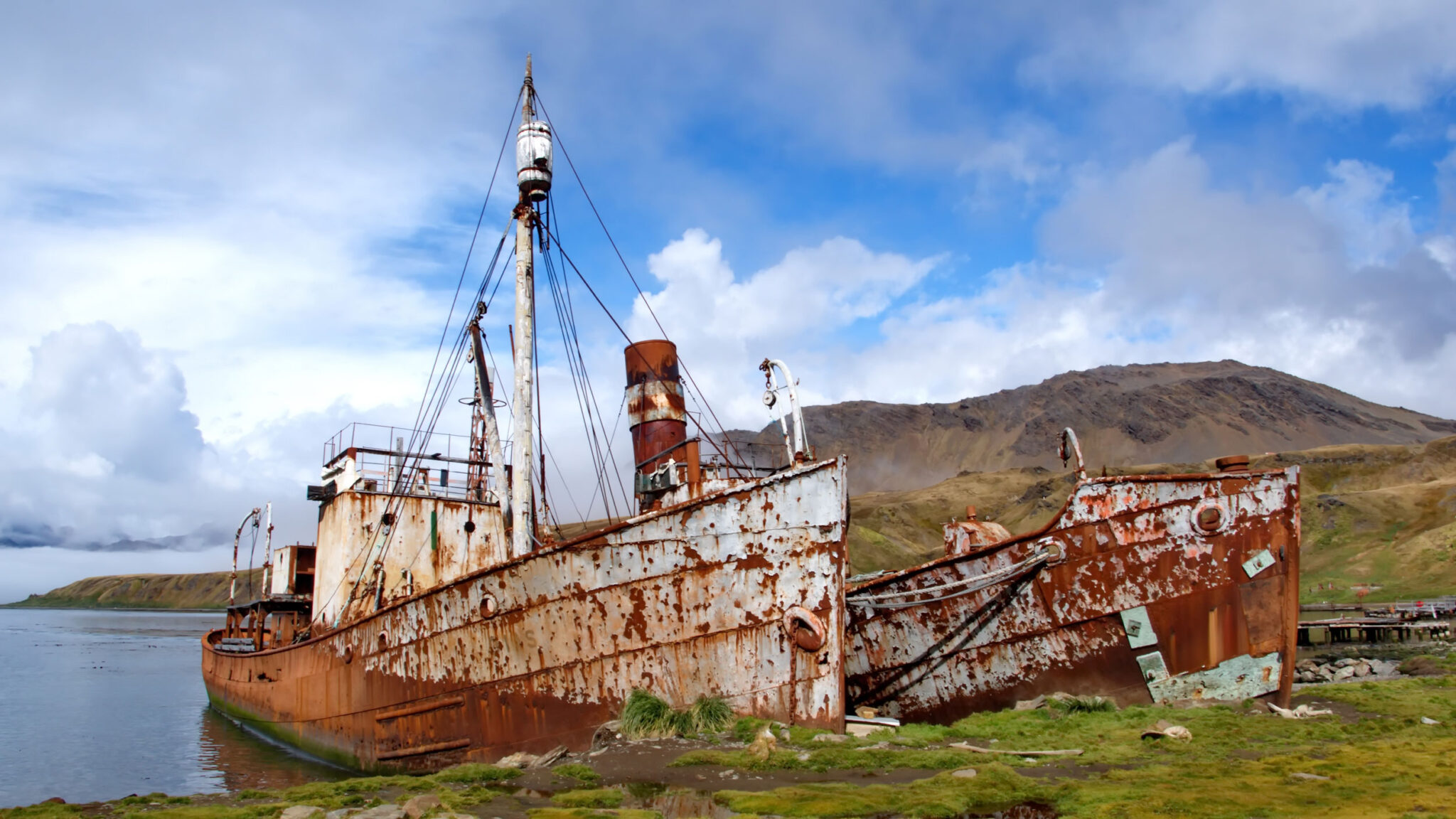 South Georgia's Whaling Stations and Their History