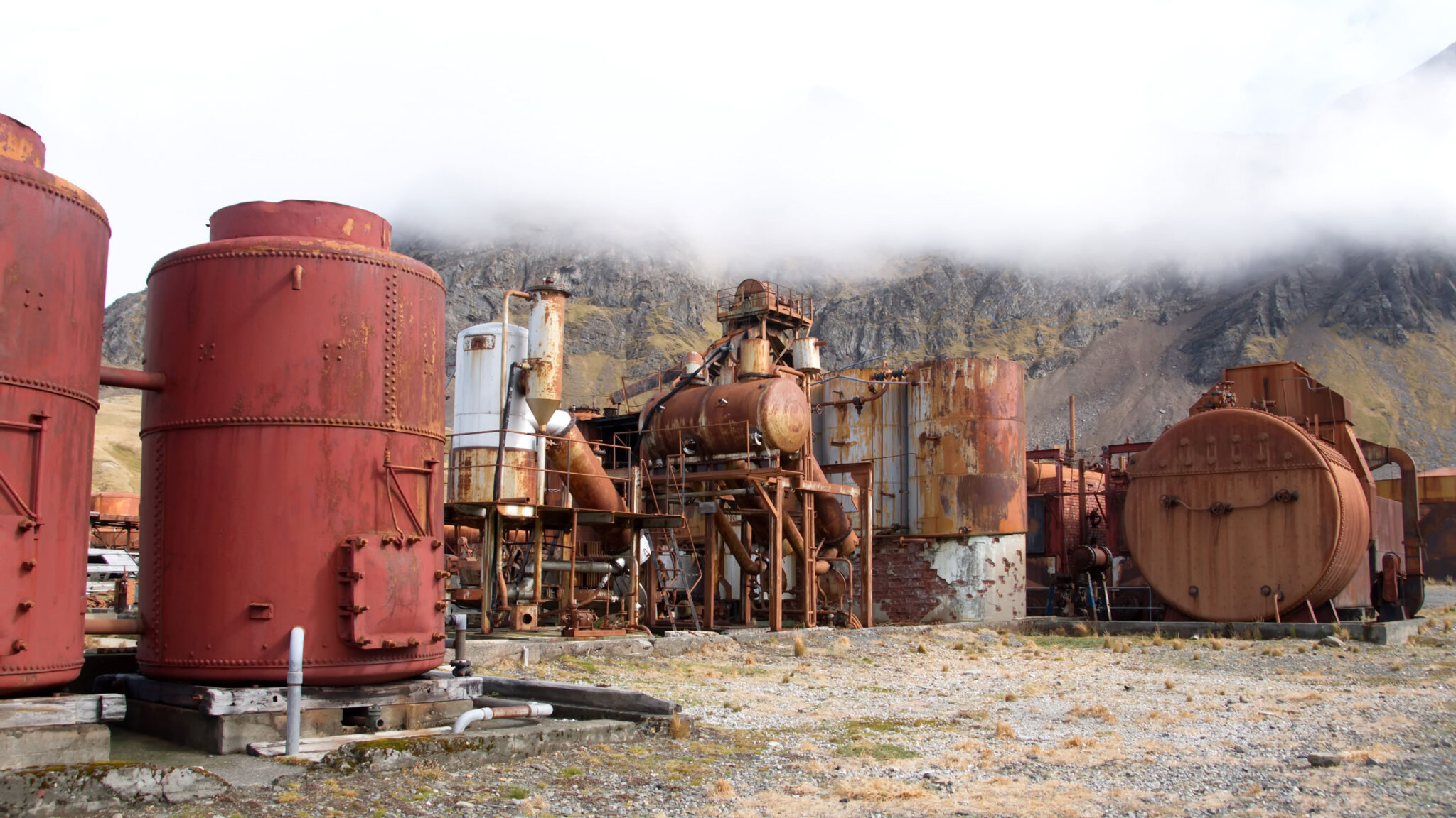South Georgia's Whaling Stations and Their History