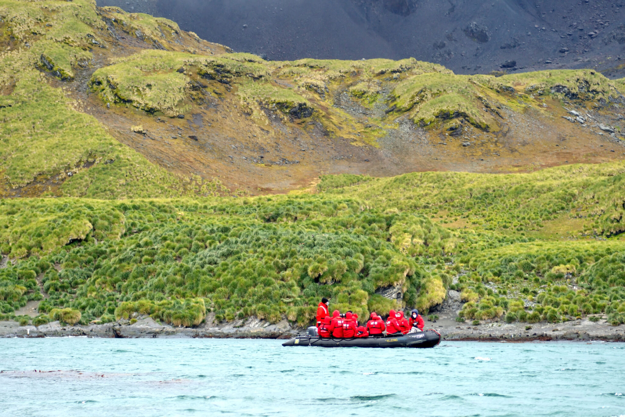 How to Visit South Georgia Island | Ultimate Travel Guide